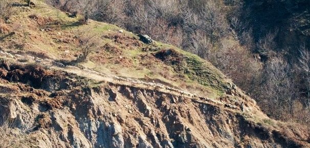 Специјалци на Шар Планина фатија бегалец од затвор осуден на 15 години ...