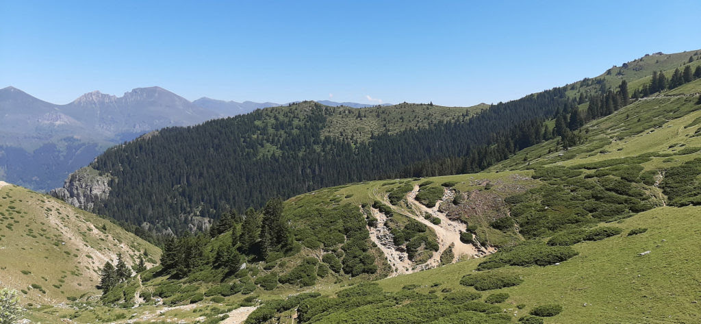 Шар Планина прогласена за Национален парк - Либертас
